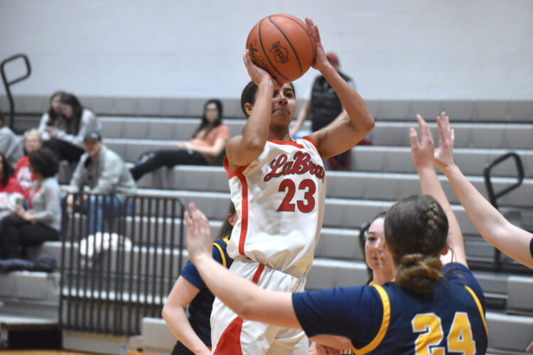 LaBrae fights off Hillsdale in first-round win | News, Sports, Jobs ...